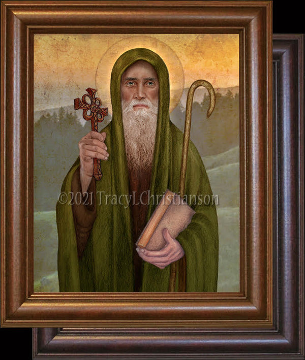 St. Finnian of Clonard Framed Art - Portraits of Saints